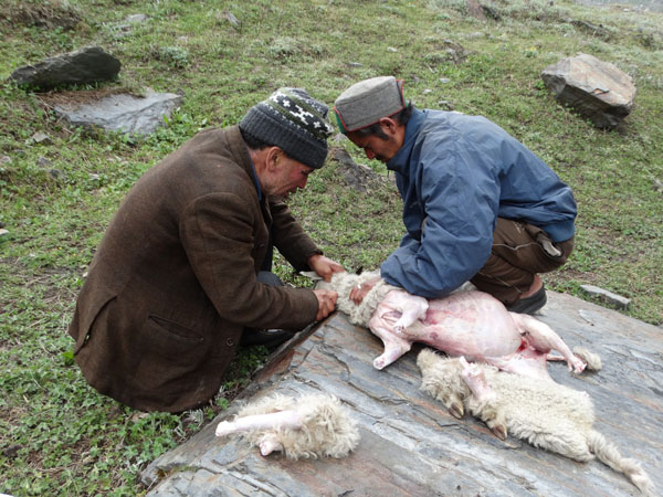 Today’s Special: Himalayan Goat Meals – Earthly Notes