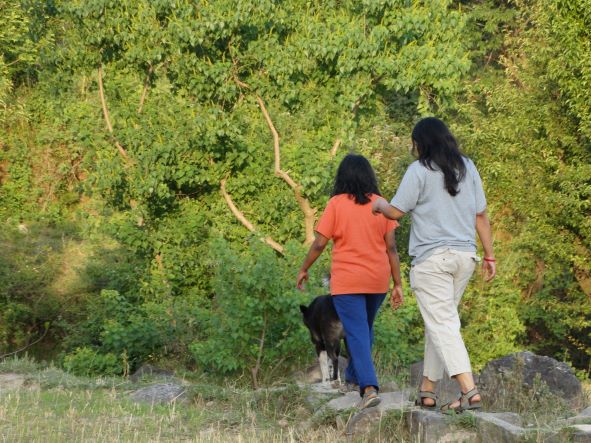 Tales of Pahadi dogs – Earthly Notes